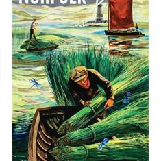 Norfolk - Reed Gathering Flowers Nicole Norwich Florist